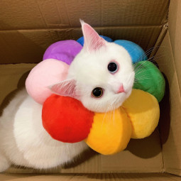 Fuzzy Spuffy (fuzzyspuffy) - Trakteer.id