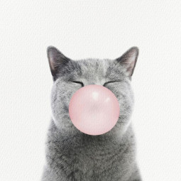 Daftar konten hasil karya Vio - Trakteer.id