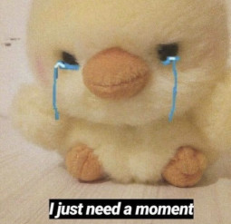 depid (depid) - Trakteer.id