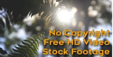 No Copyright | Free HD Video | Stock Footage - - Trakteer.id