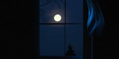 bonus, heat and rut - Trakteer.id