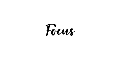 Focus - Trakteer.id