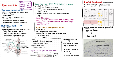 Jaras Motorik - Trakteer.id