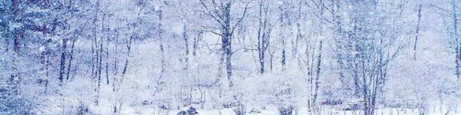 Yuuri Ai (yuuri ai) - Trakteer.id