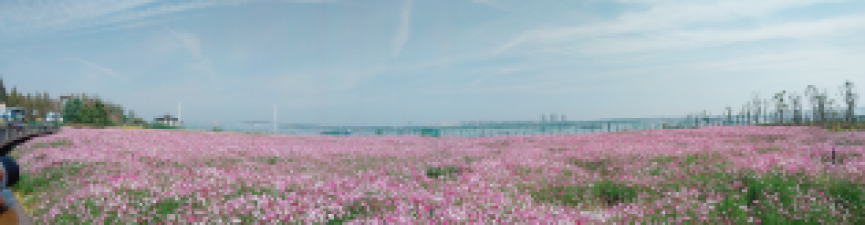 Haru Haruna (haru-haruna) - Trakteer.id