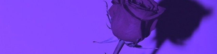 Xenaa Wayne. (pre-debut VtuberEN) (zzenoffc) - Trakteer.id