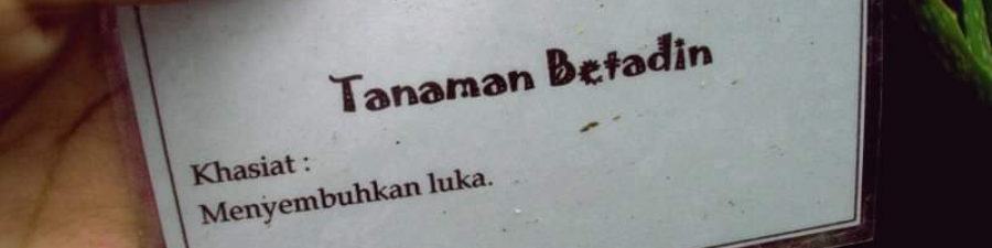 Sofyan Suri - Trakteer.id