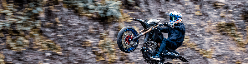 ID9 (id9official) - Trakteer.id