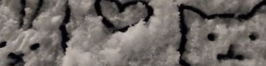 ceci (cheldyana) - Trakteer.id