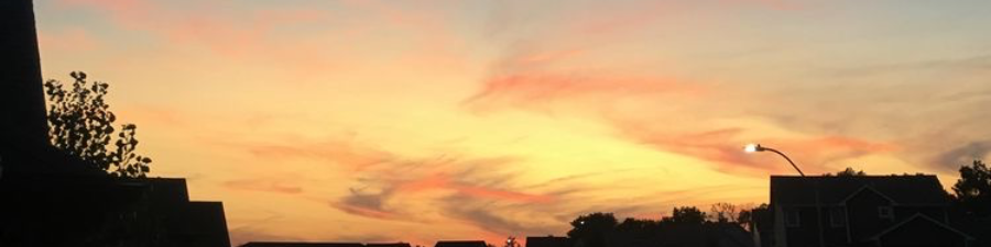 Bee (sailorbee) - Trakteer.id