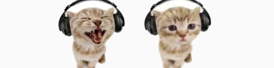 fani (miqyue) - Trakteer.id