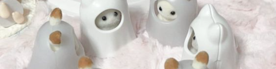 cheryl (6oatmilk) - Trakteer.id