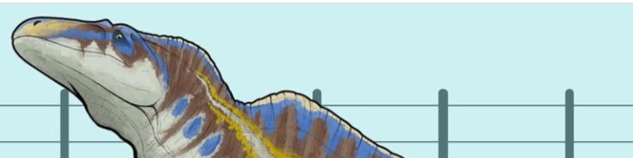 Acro. 47 - Trakteer.id