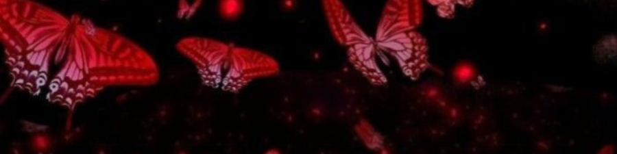 Pyong (pyong) - Trakteer.id