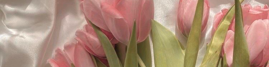 Felice/vell (felice) - Trakteer.id