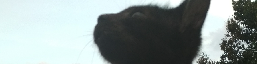 Key GaNz (KeyGaNz) - Trakteer.id