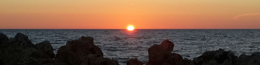 Adityan Mulia, M.T (mulia-adityan) - Trakteer.id