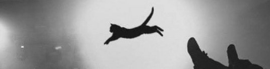 nolep official account (deadwood.nolep) - Trakteer.id