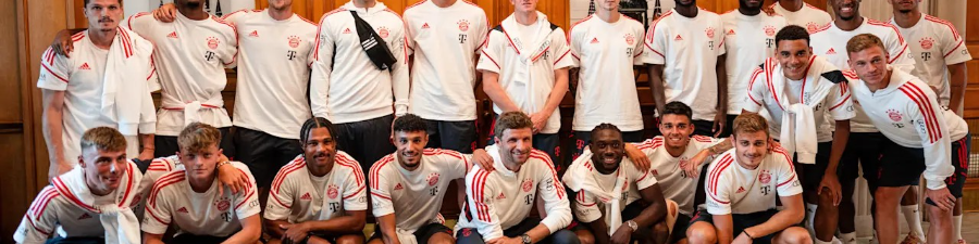 Lai15 (chlorophyyta) - Trakteer.id