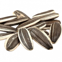 Daftar konten hasil karya Kwaci - Trakteer.id